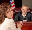 litigant (【Noun】) Meaning, Usage, and Readings | Engoo Words