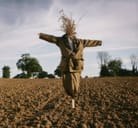 scarecrow (【Noun】an object made to look like a person that is put near ...