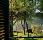 window (【Noun】a rectangular opening in a wall or roof, allowing sun and ...