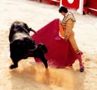 provoke (【Verb】to stimulate or cause a reaction, emotion, etc ...