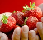 handful (【Noun】an amount that can be held in the hand; a small amount ...