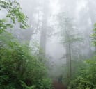 humid (【Adjective】(of the air) containing a lot of water ) Meaning ...