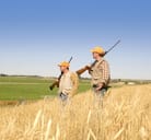 hunting (【Noun】the activity of killing wild animals for food or sport ...