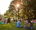 shade (【Verb】) Meaning, Usage, and Readings | Engoo Words