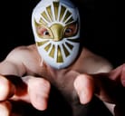 demise (【Noun】fall from a position of power or importance ) Meaning ...