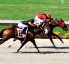 lead (【名詞】領先, 佔優 )意思、用法及發音 | Engoo Words