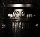 stealth (【Noun】doing something in a covert or secret manner ) Meaning ...