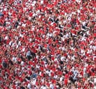 vast (【Adjective】very large in size, amount, etc. ) Meaning, Usage, and ...