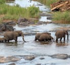 shallow (【Adjective】not deep ) Meaning, Usage, and Readings | Engoo Words