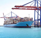 dock (【Noun】an area in a port where ships are loaded and unloaded ...