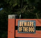 cautious (【Adjective】careful to avoid possible dangers or problems ...