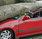 crush (【Verb】to press or squeeze something very hard so that it breaks ...