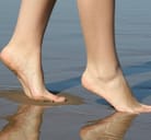 toe (【Noun】) Meaning, Usage, and Readings | Engoo Words