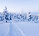 northern (【Adjective】) Meaning, Usage, and Readings | Engoo Words