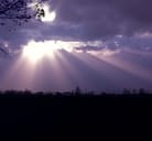 emerge (【Verb】to appear or become more important ) Meaning, Usage, and ...