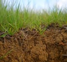 ground (【Noun】the surface of the earth ) Meaning, Usage, and Readings ...