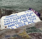 extent (【Noun】the size or importance of something; the amount or degree ...