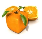 anomalous (【Adjective】) Meaning, Usage, and Readings | Engoo Words