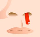 bleed (【Verb】) Meaning, Usage, and Readings | Engoo Words