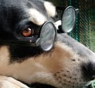 certainly (【Adverb】without any doubt ) Meaning, Usage, and Readings ...