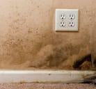 damp (【Adjective】slightly wet, especially in an unpleasant or ...