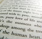 depict (【Verb】to show or describe something in a picture, book, etc ...