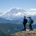 absorb (【Verb】to slowly take in and understand new information, ideas ...