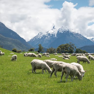 Pasture Words
