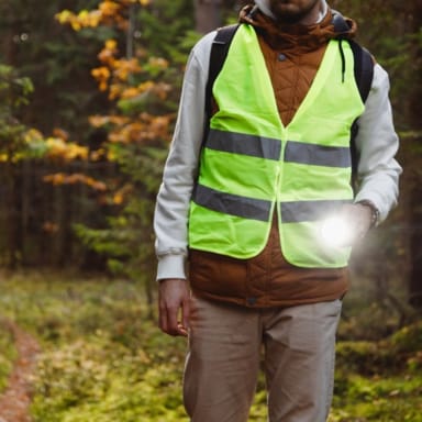 comb sentence example