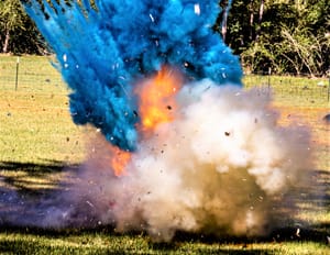 Couple Charged After Gender Reveal Starts Wildfire | Engoo Daily News