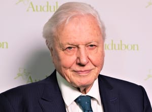Sir David Attenborough Named 'Champion of the Earth' by UN | Engoo Daily News