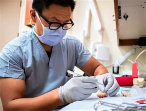 World's First Tooth Regrowth Medicine Developed in Japan | Engoo 每日新闻