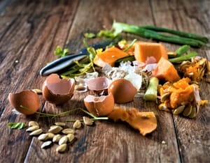 Germany Plans to Cut Food Waste in Half by 2030 | Engoo Daily News