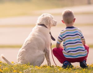 Diabetes-Detection Dogs May Save Lives | Engoo Daily News