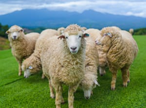 Conversation - Engoo