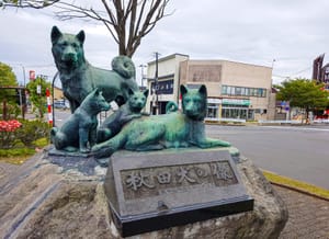 Dog Lovers' Delight: Akita Inu Hall in Odate, Japan | Engoo Daily News