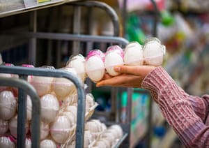 Japan's Chicken and Egg Prices at Record Highs | Engoo Daily News