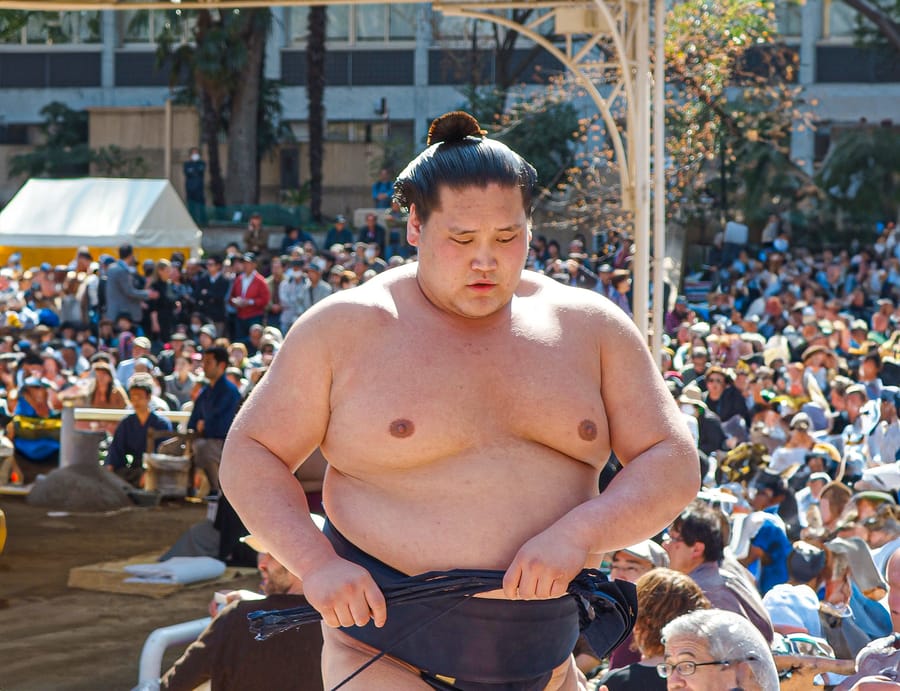 sumo instructor