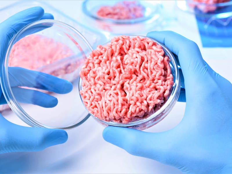 Meat Grown in Space For First Time | Engoo Daily News