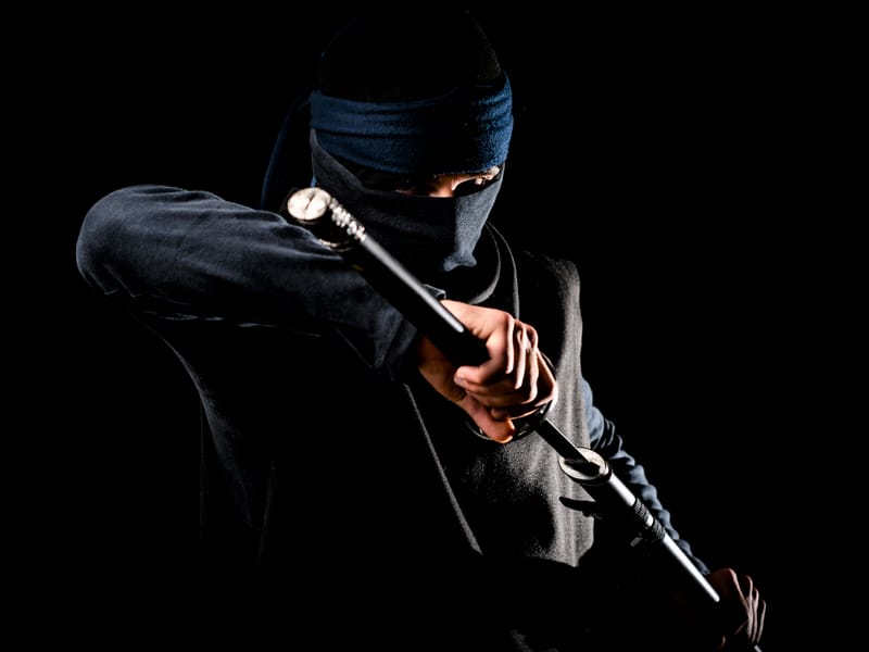 Student's Invisible Ninja Report Gets Top Grade | Engoo Global Daily News