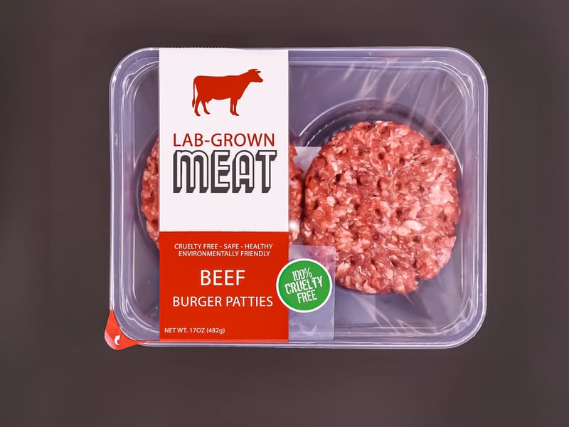 Study English, Stay Informed - Engoo Daily News