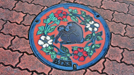 Japan's Manhole Covers: Functional and Collectable | Engoo Daily News