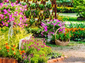 Where Do You Live? | Engoo