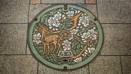 Japan's Manhole Covers: Functional and Collectable | Engoo Daily News