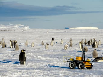 Meet the Robot Living with Antarctic Penguins | Engoo Daily News
