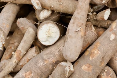 Making Local Food More Nutritious | Engoo Daily News