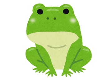 Animals and Their Sounds | Engoo