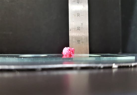 Researchers in Japan Have 3D Printed Wagyu Beef | DMM英会話 デイリーニュース