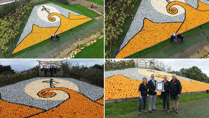 UK Farm Builds World's Largest Pumpkin Mosaic | Engoo Daily News