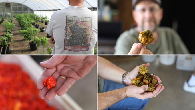 Pepper X Breaks World Chili Pepper Heat Record | Engoo 每日新聞